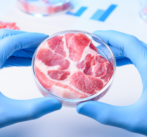 Marktonderzoek via PanelWizard - Nederland verdeeld over het eten van kweekvlees