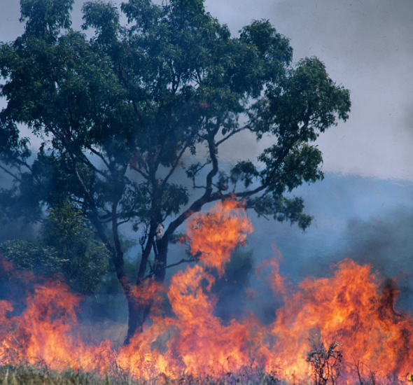 Marktonderzoek via PanelWizard - Rode Kruis onderzocht via PanelWizard hoe voorbereid ...